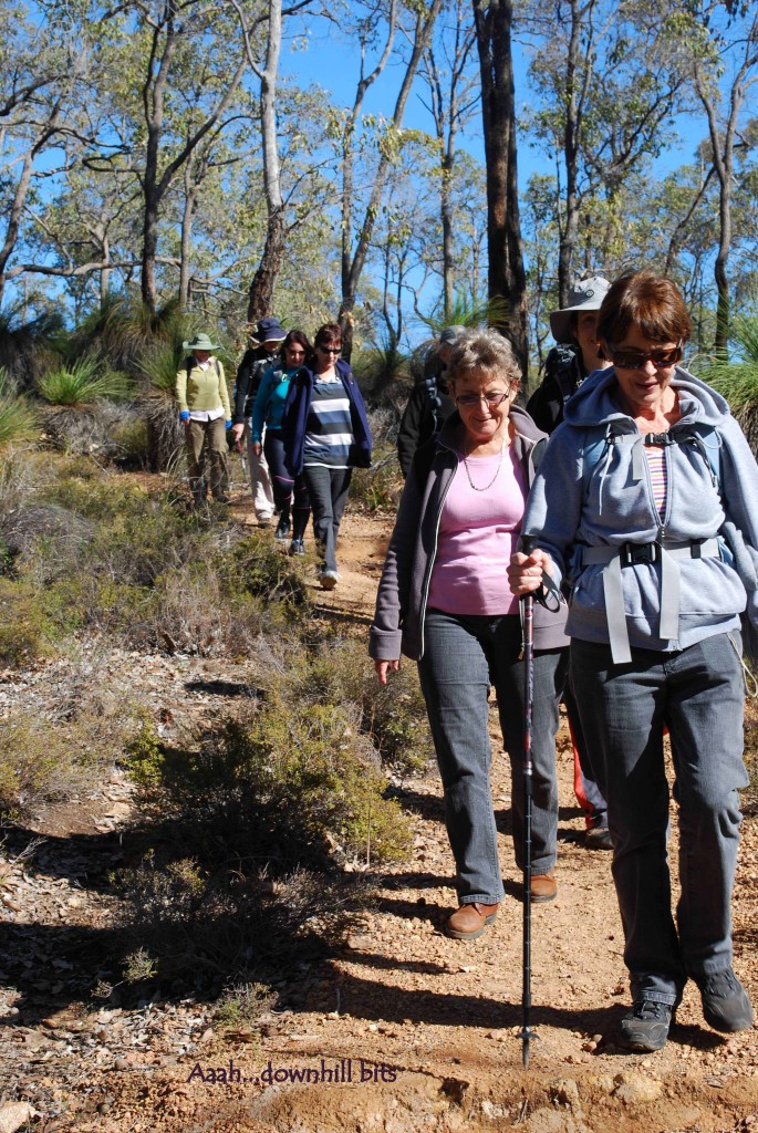 Too busy to prepare for a walking tour? | Inspiration Outdoors
