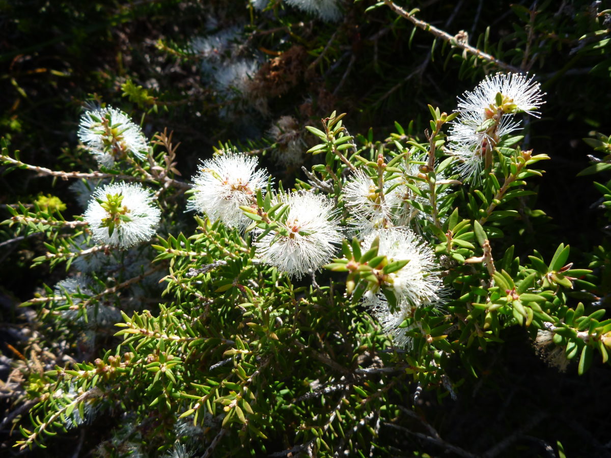 Kangaroo Island Wilderness Trail - Inspiration Outdoors