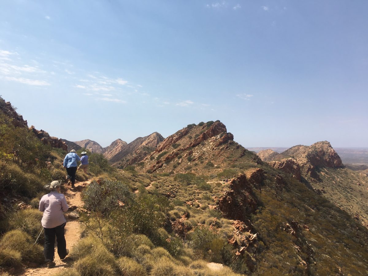 What is the best time of year to walk the Larapinta Trail ...