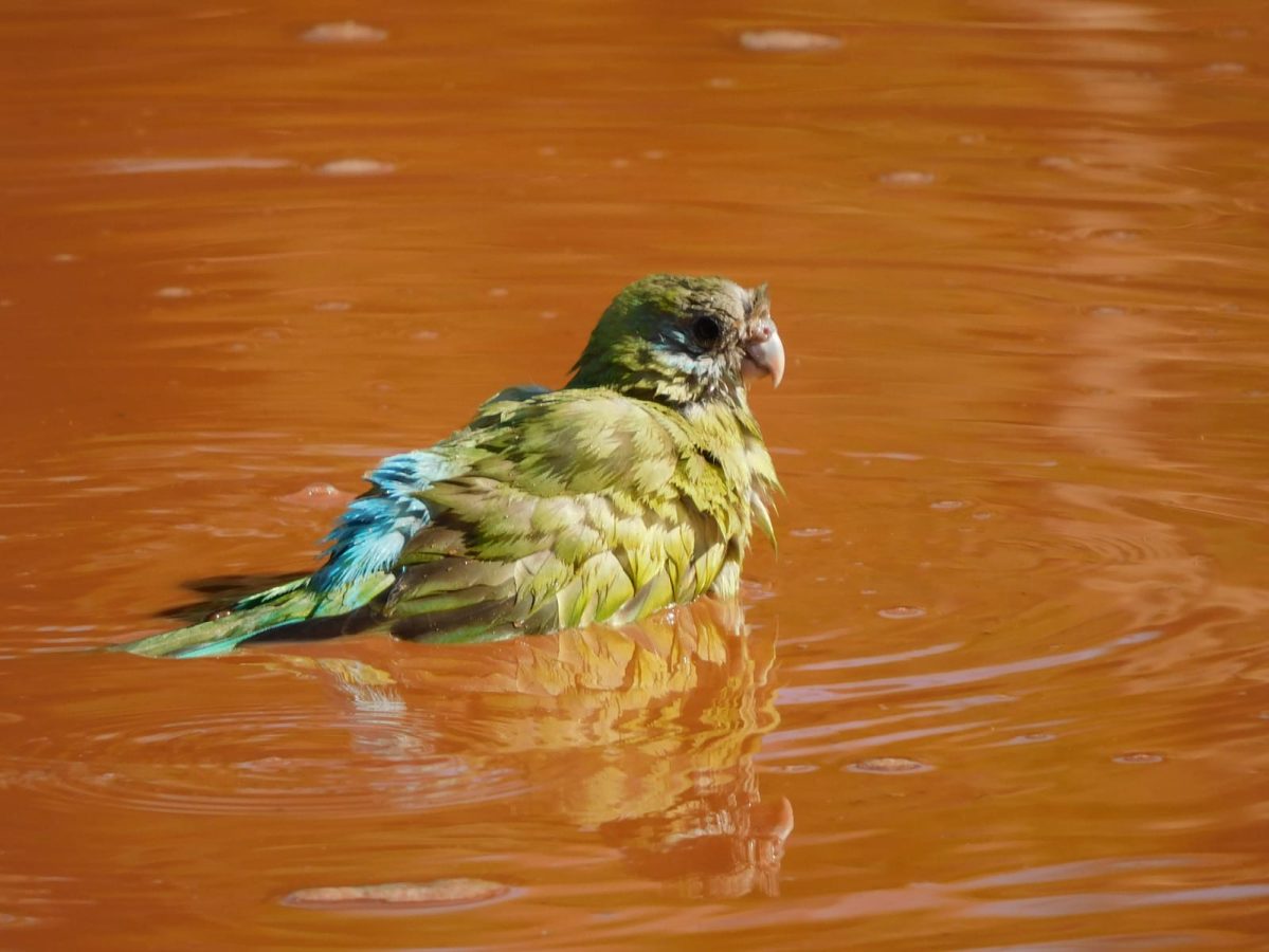 Arnhem Land: Kakadu's Undiscovered Cultural Gem | Inspiration Outdoors
