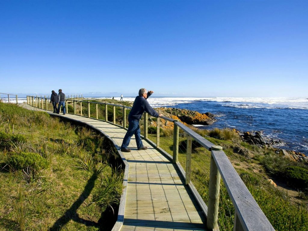The Complete Guide to the Tarkine: Tasmania’s Wild Northwest ...