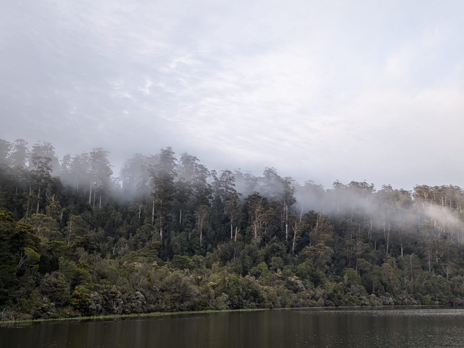 The Complete Guide to the Tarkine: Tasmania’s Wild Northwest ...